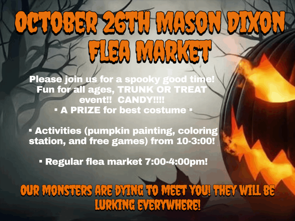 Mason Dixon Flea Market Spooky Good Time Trunk or Treat | The Franklin ...